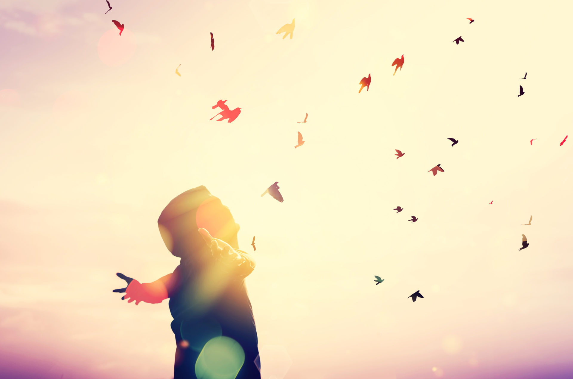 Boost your energy # 2 release - In imago : Transformation Leader, Agile ...